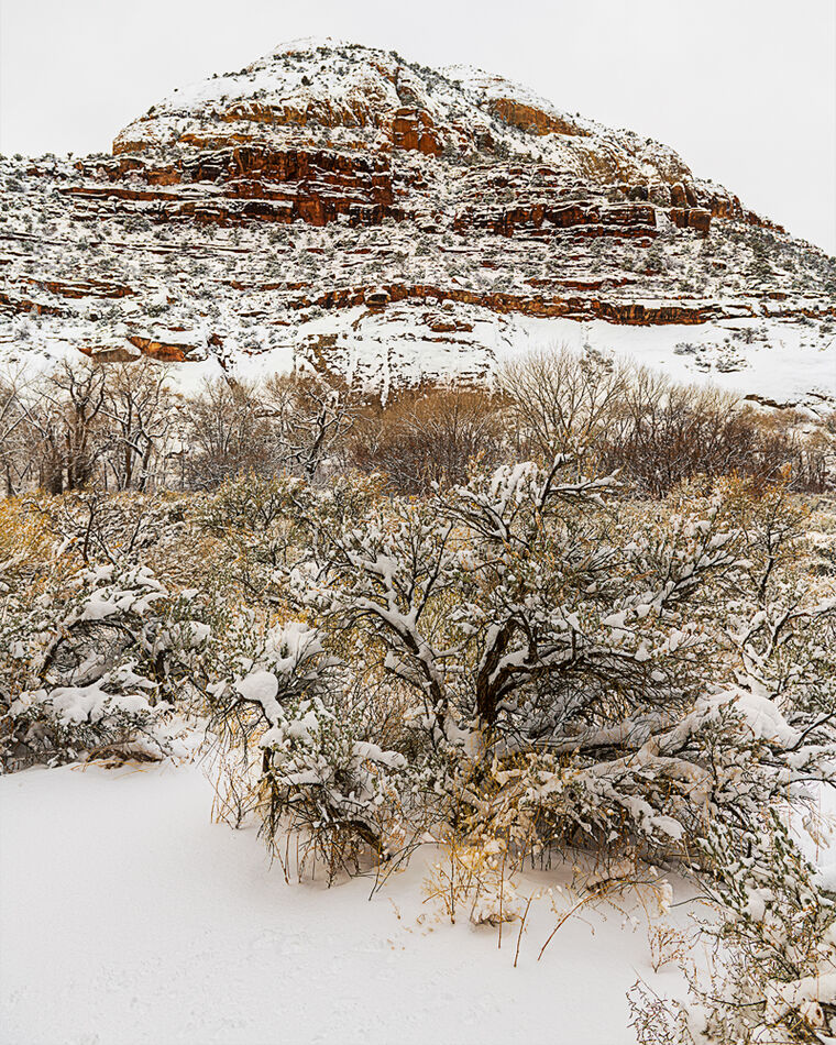 Utah Desert Snow: Desert Snow at Newspaper Rock on Utah Highway 211...