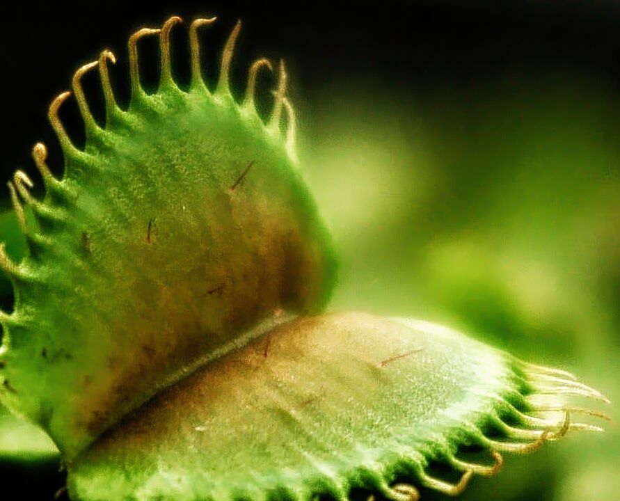 Poor Little Thang!!! Its little tummy must be empty in this kind of ...