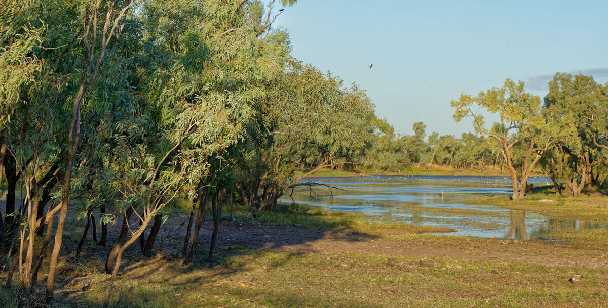 The Georgina River Queensland, Australia: Located in an arid zone in ...