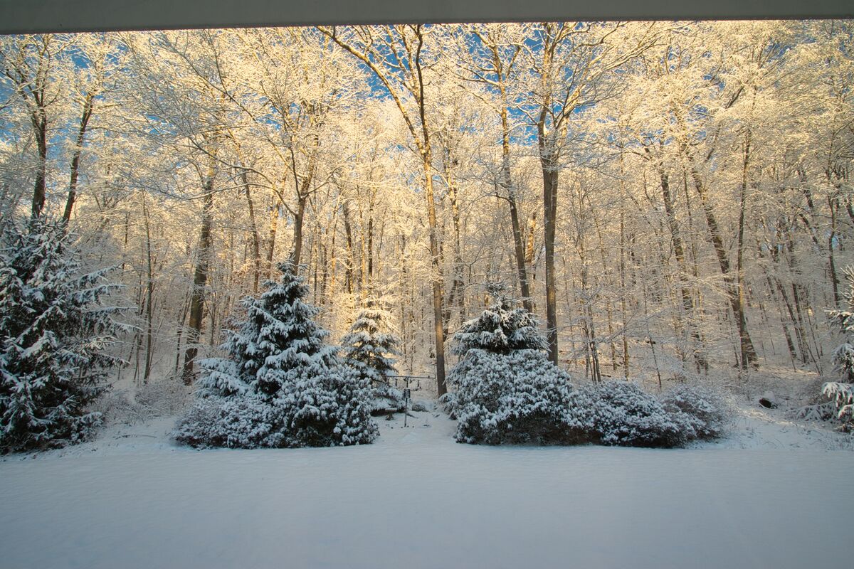 Winter wonderland snow storm: We didn't get that much snow in inches ...