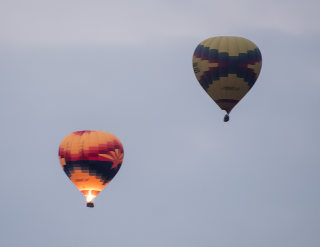 Balloons: This morning I looked out to see a few balloons taking off ...