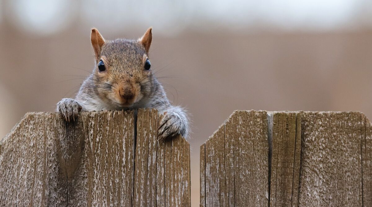 Poser does a spot check: As I work on improving my photography and my ...