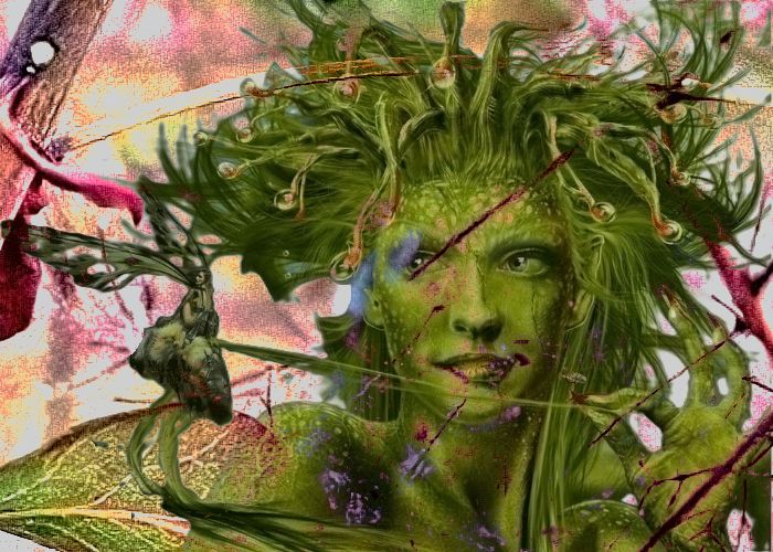 Tree Nymph-Color: Color practice...