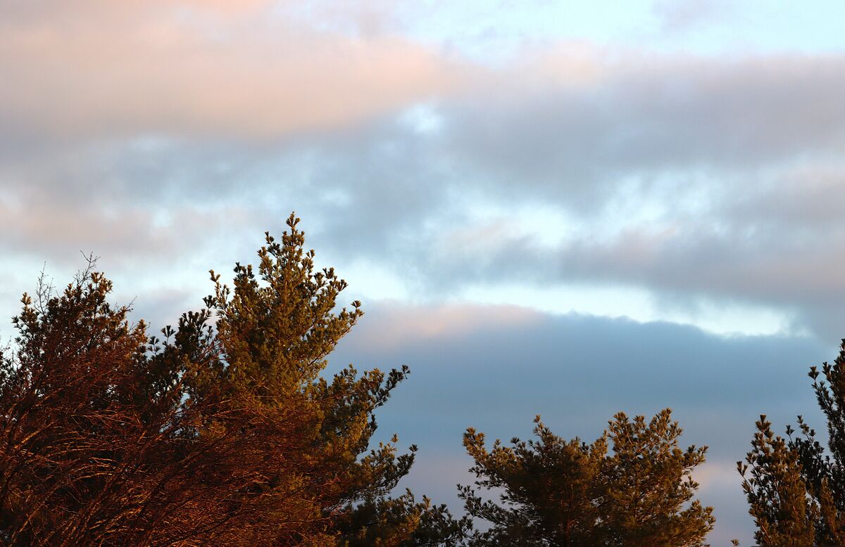 Just some more sky shots: I am trying to make it a habit to work on the ...