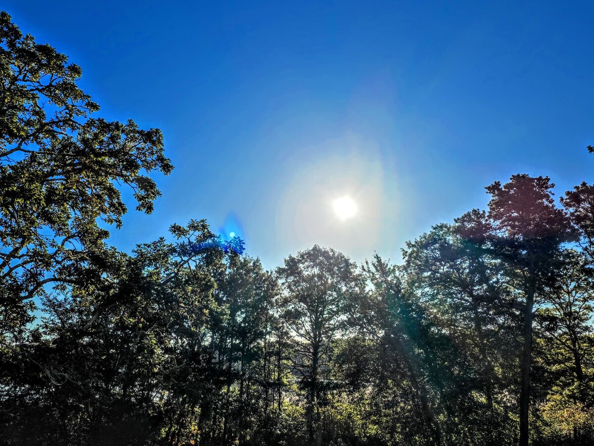 Sun: . Sun.