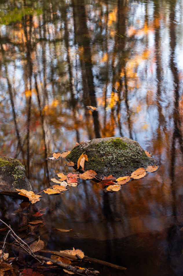 Pop-Up Challenge: "Autumn Splendor" 10/11-/10/18/25: Autumn, in many ...