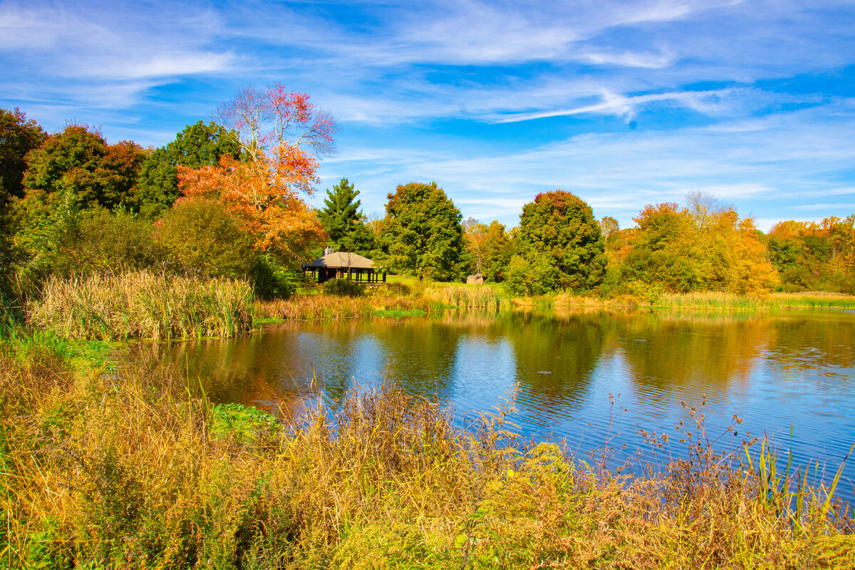 Autumn: From my library 10-2021...