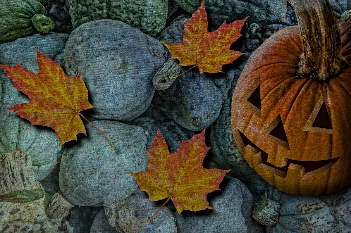 Smile: Smile Back...