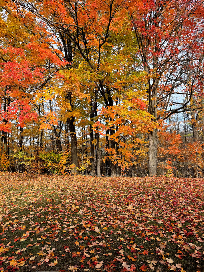 Fall Season - Best Season: Drive in the country offers many photo ...