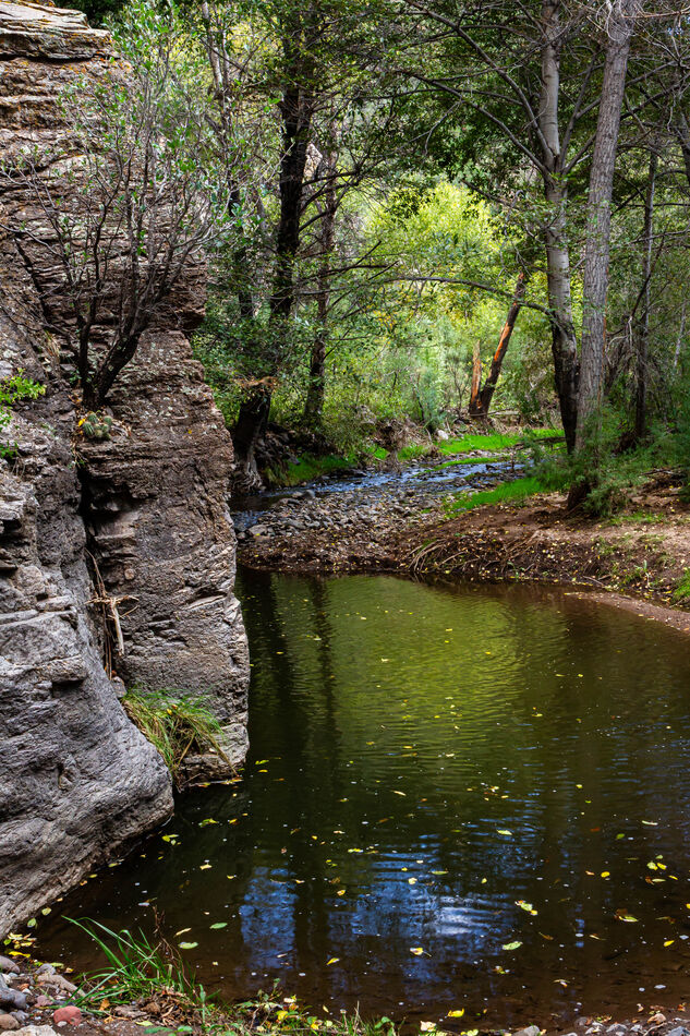 Lovely Sapillo Creek #3: This is the last set, for now. Next week I ...