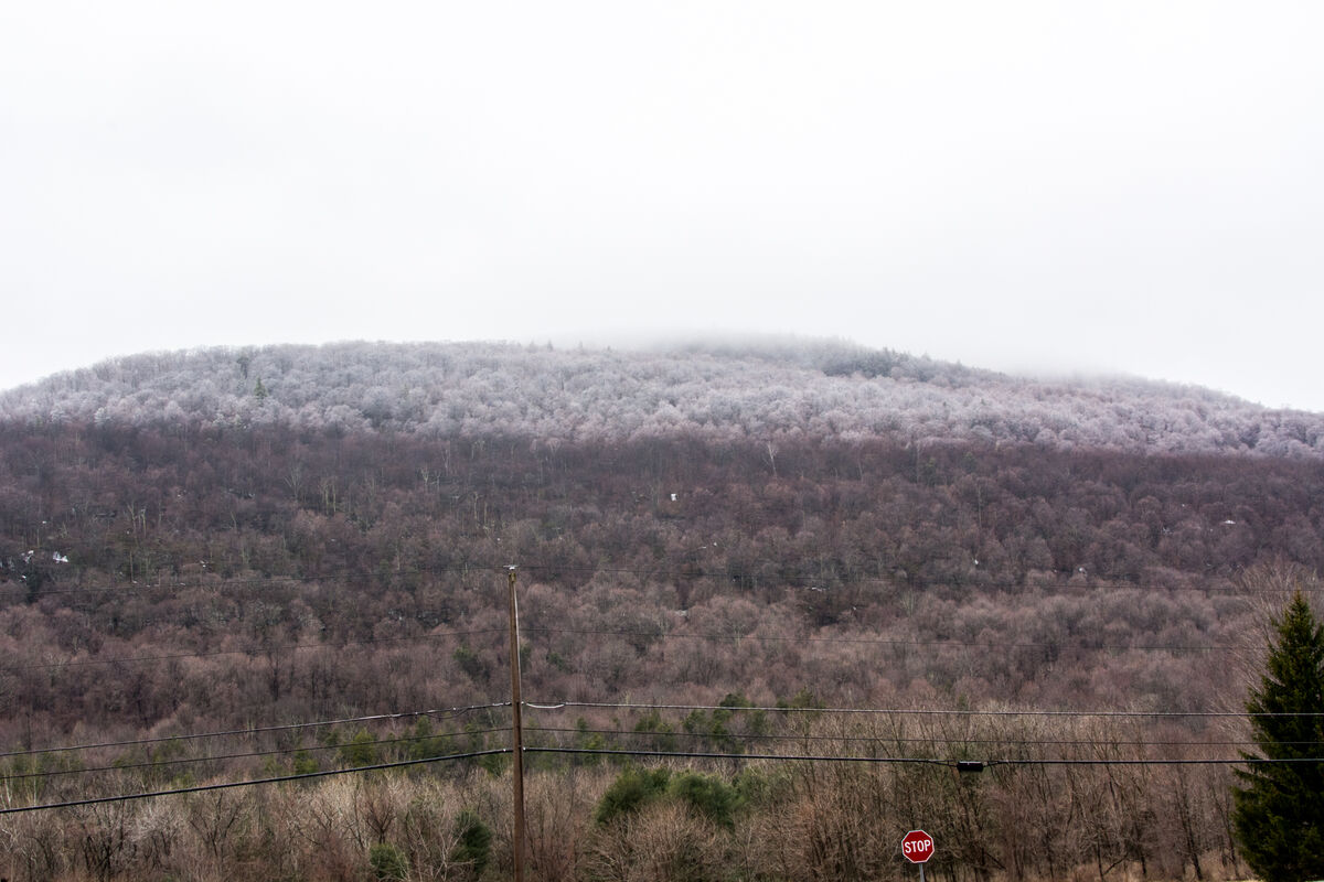 The Frost Line: Nature is odd. It takes certain conditions to produce ...