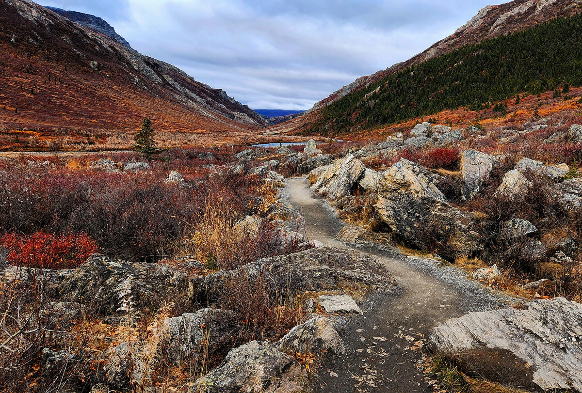 Autumn Colors...The Alaska Range: Afternoon in Denali National Park and ...