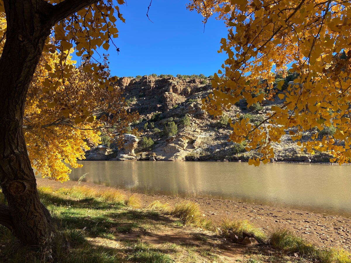 Chama River NM Fall: Chama River NM Fall...