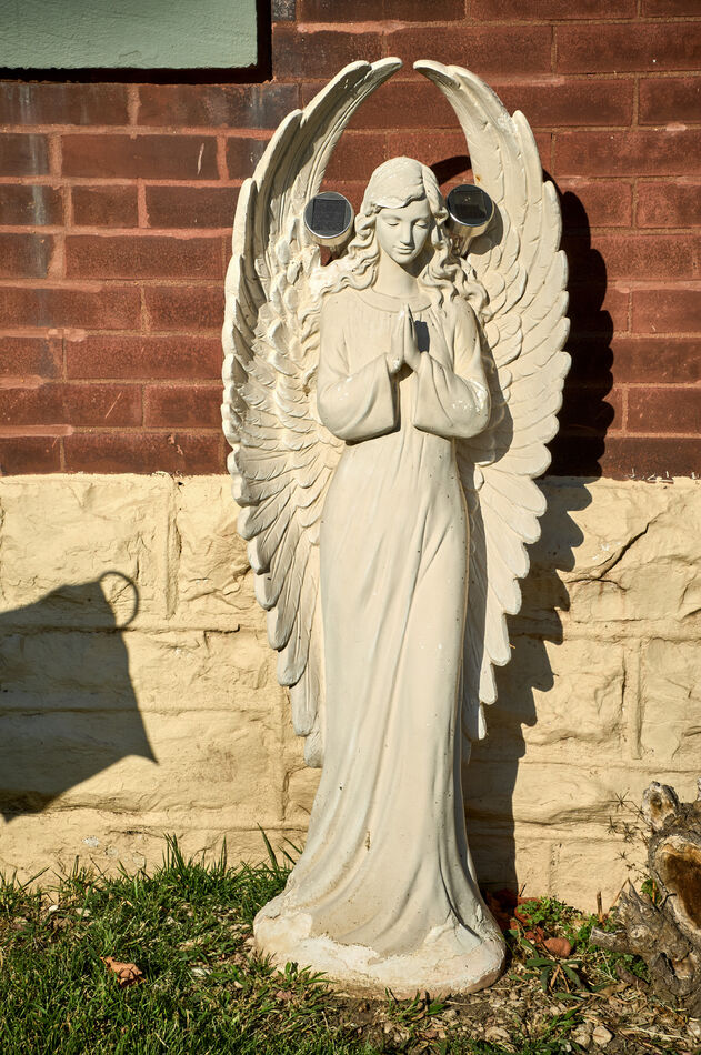 Solar Powered Angel & Such: From my walk around the neighborhood ...