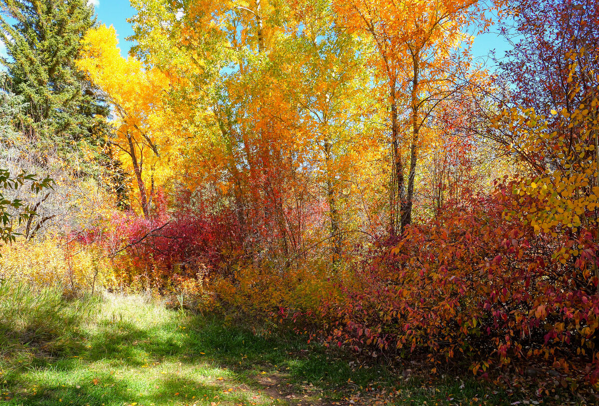 Gunnison, Colorado Fall Colors And Scenic Views: Just some ...