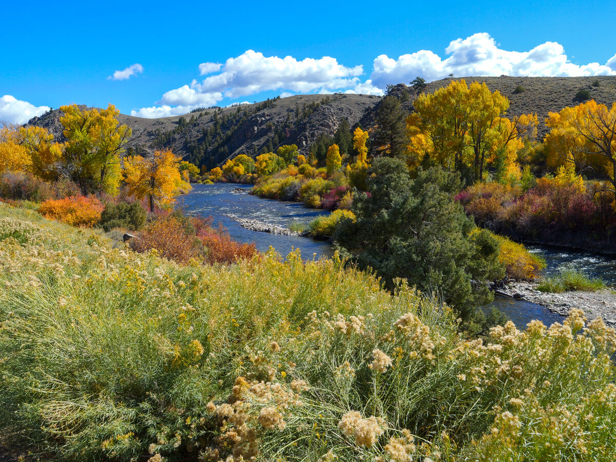 Gunnison, Colorado Fall Colors And Scenic Views: Just some ...