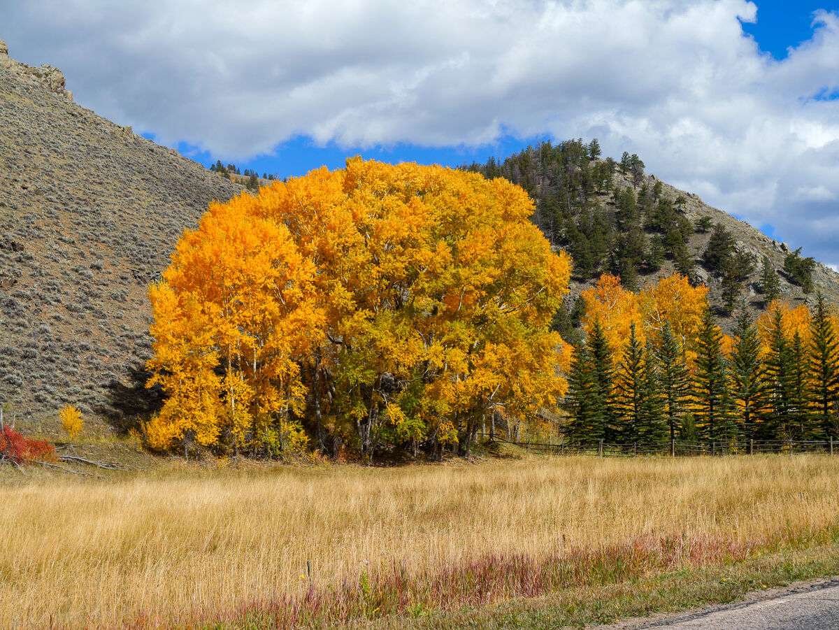 Gunnison, Colorado Fall Colors And Scenic Views: Just some ...