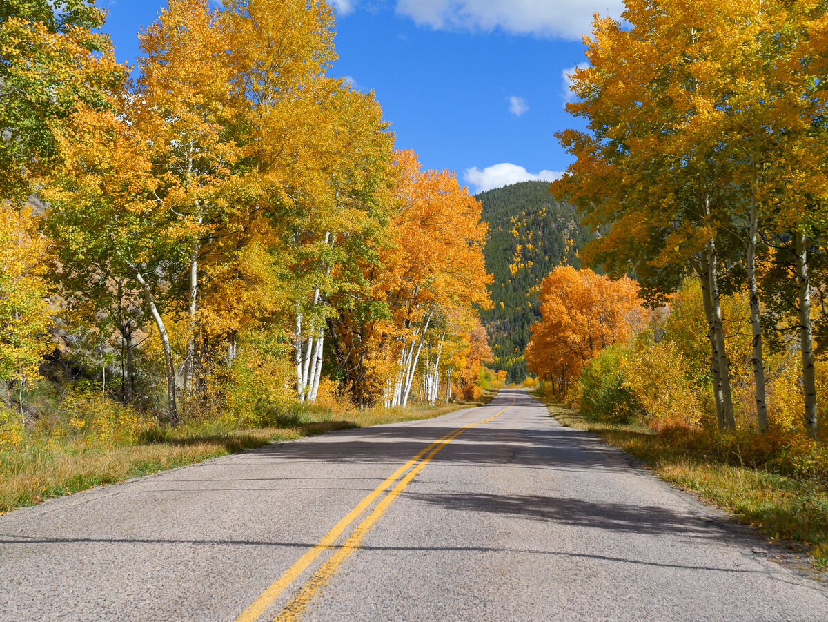 Gunnison, Colorado Fall Colors And Scenic Views: Just some ...