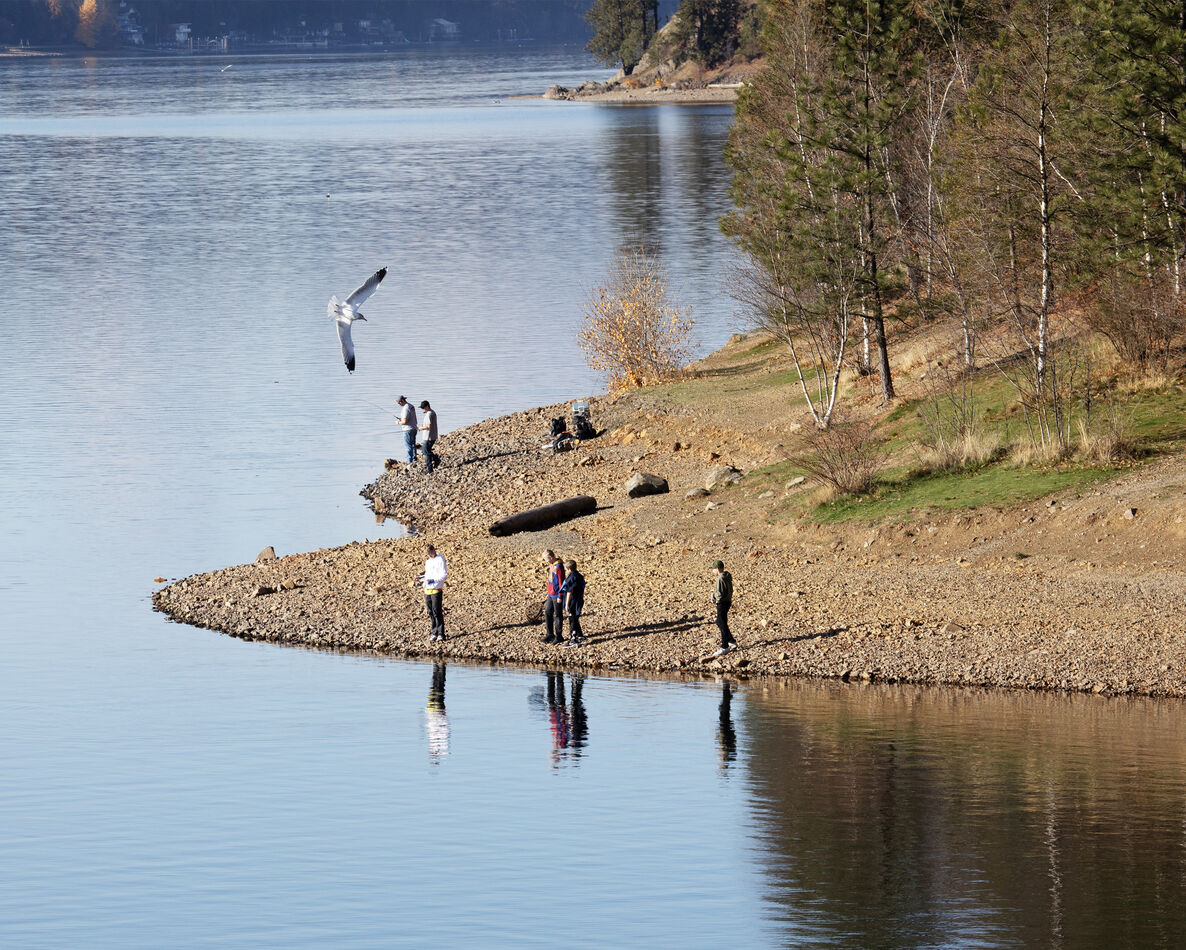 Higgins Point is where people go to shoot eagles: But since there are a ...