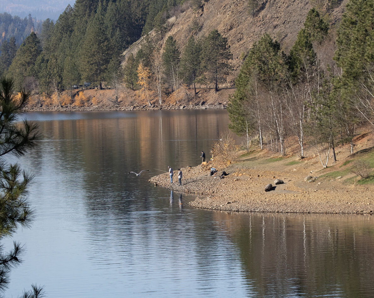 Higgins Point is where people go to shoot eagles: But since there are a ...