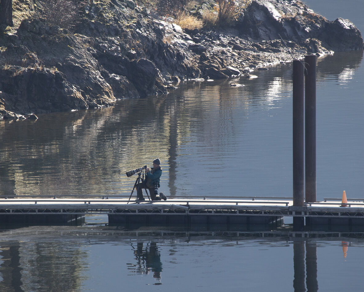 Higgins Point is where people go to shoot eagles: But since there are a ...