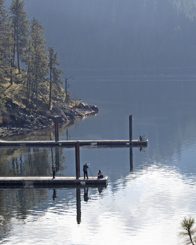 Higgins Point is where people go to shoot eagles: But since there are a ...