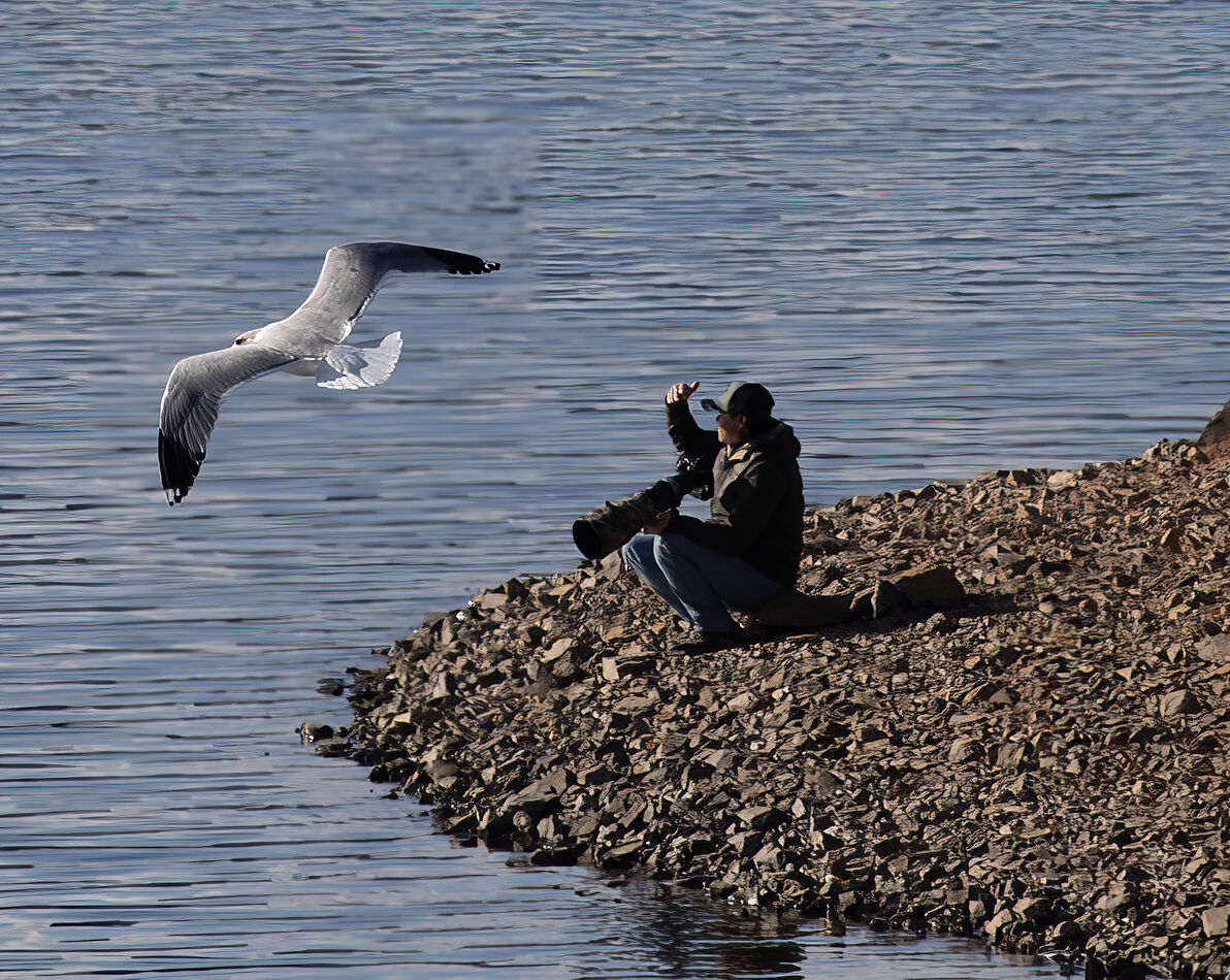 Higgins Point is where people go to shoot eagles: But since there are a ...