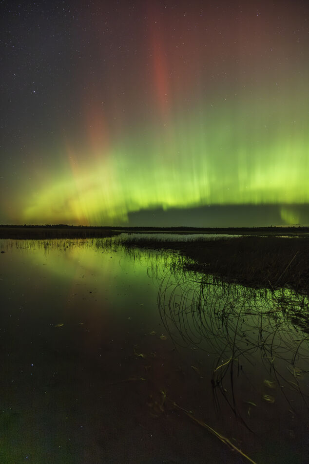 Northern Lights from Door County, Wisconsin: A clear night in northern ...