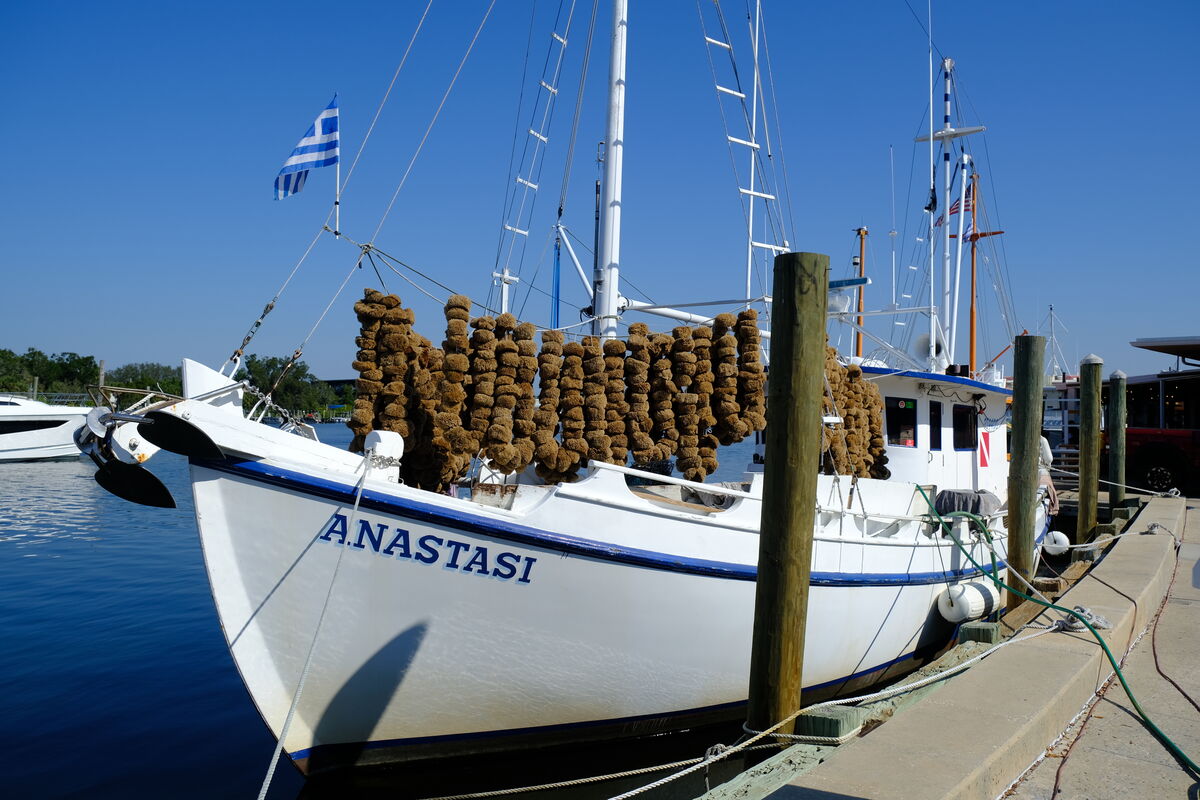 Tarpon Springs sponge docks: Had lunch yesterday at the sponge docks ...
