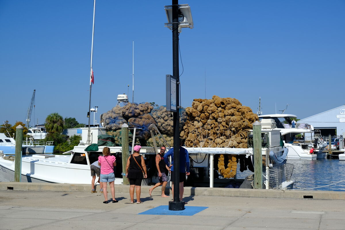 Tarpon Springs sponge docks: Had lunch yesterday at the sponge docks ...