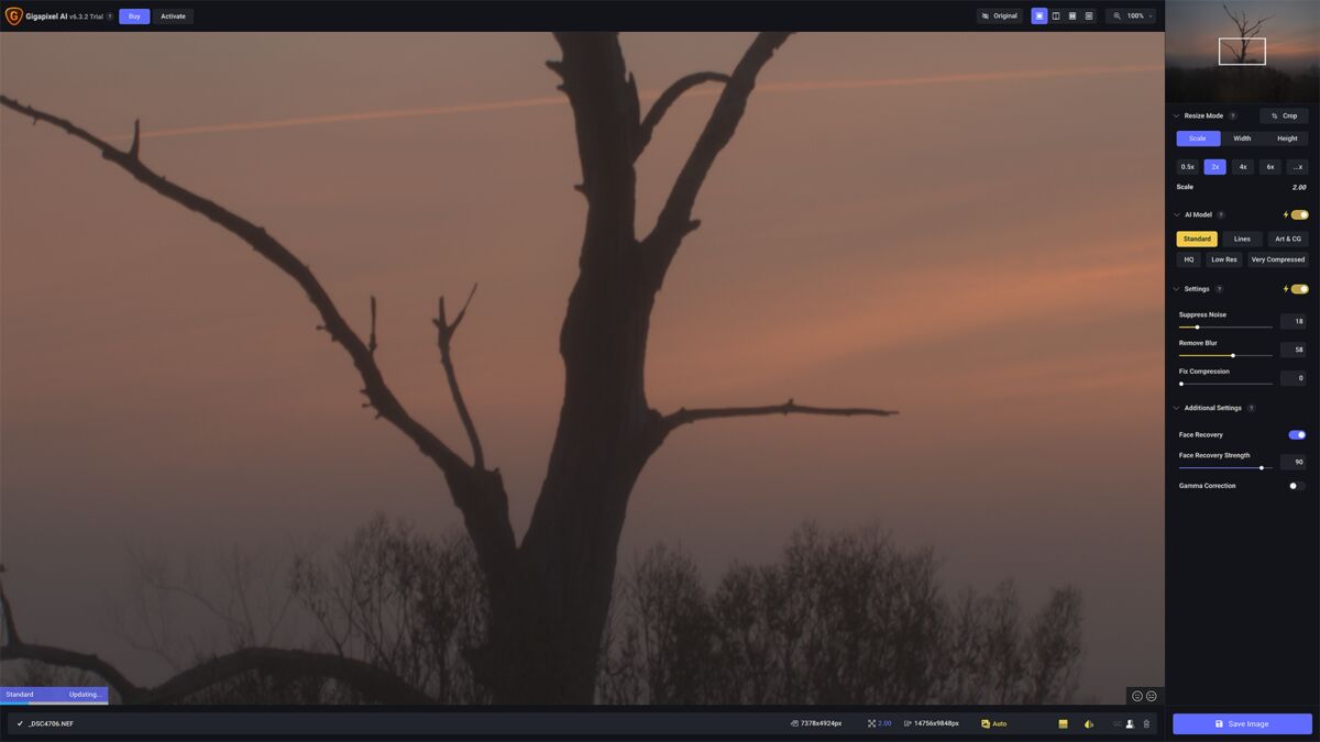 Topaz Gigapixel AI: I used Topaz Gigapixel AI to increase the pixel ...