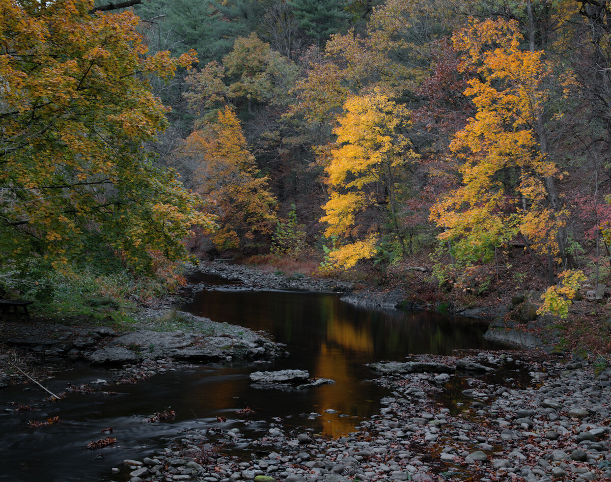 Some color in PA/NJ: The color, which has been worse than usual for ...