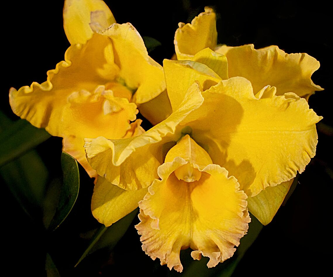 A Little Yellow: For the time change 🌞🤔🤔🌞...