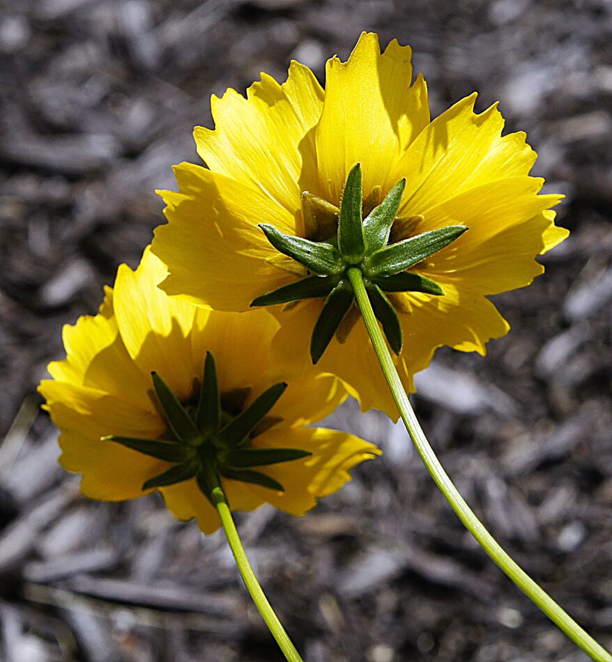 A Little Yellow: For the time change 🌞🤔🤔🌞...