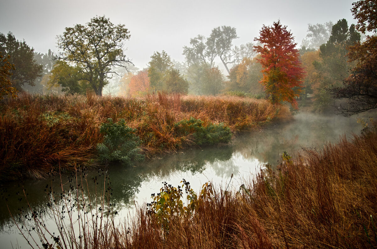 Fog: This morning came with a touch of frost and lots of fog. I really ...