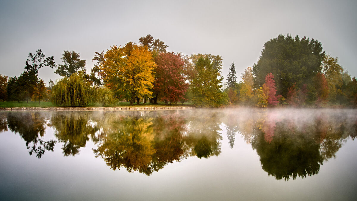 Fog: This morning came with a touch of frost and lots of fog. I really ...