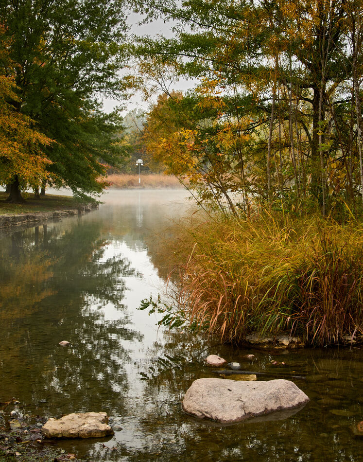 Fog: This morning came with a touch of frost and lots of fog. I really ...