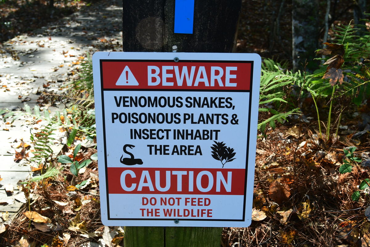 It takes a tough hombre to hike these grounds: If they succeed in ...