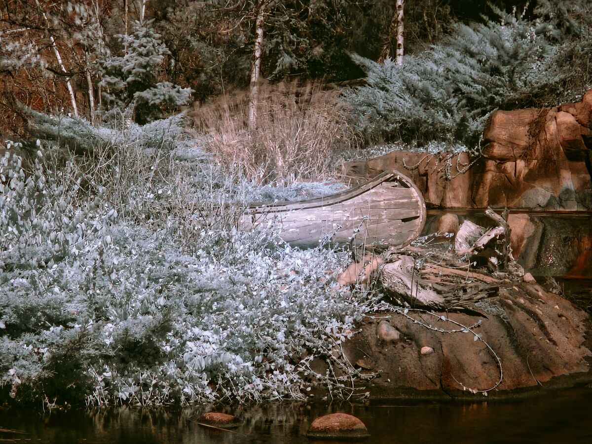 A Couple IR Shots from 18 Years Ago: The little Canon S45 sure rendered ...