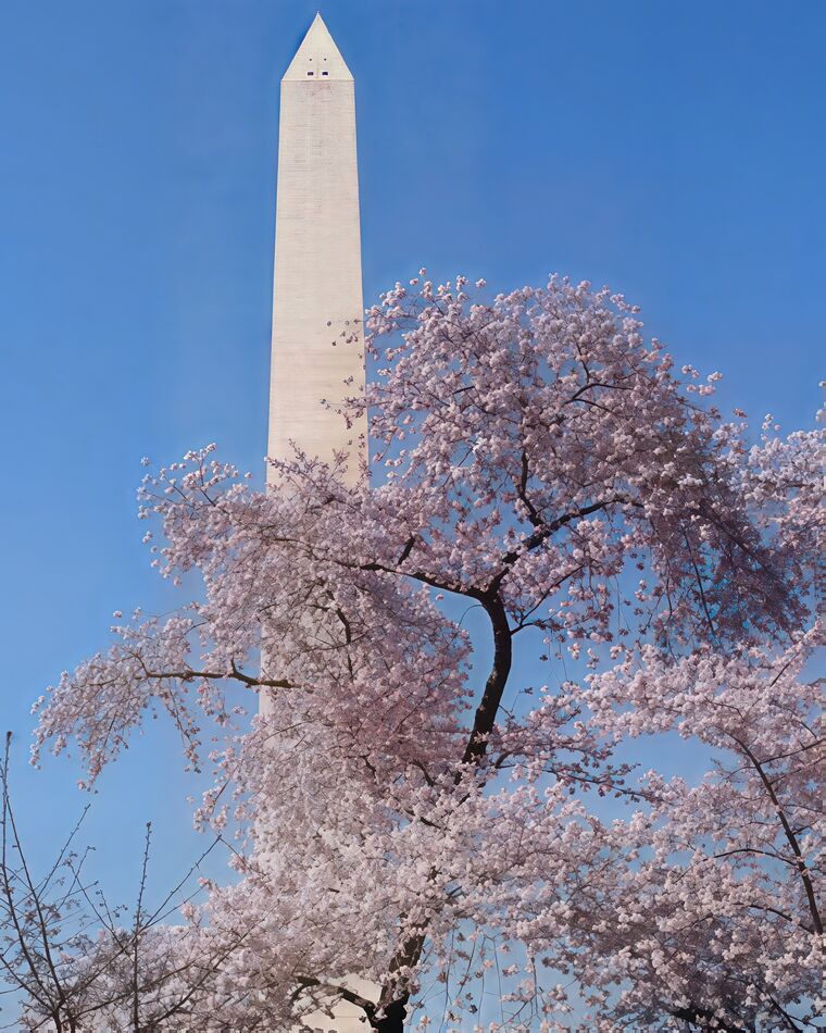 A brief tour of Washington. DC: Here are a few of the monuments in DC.
