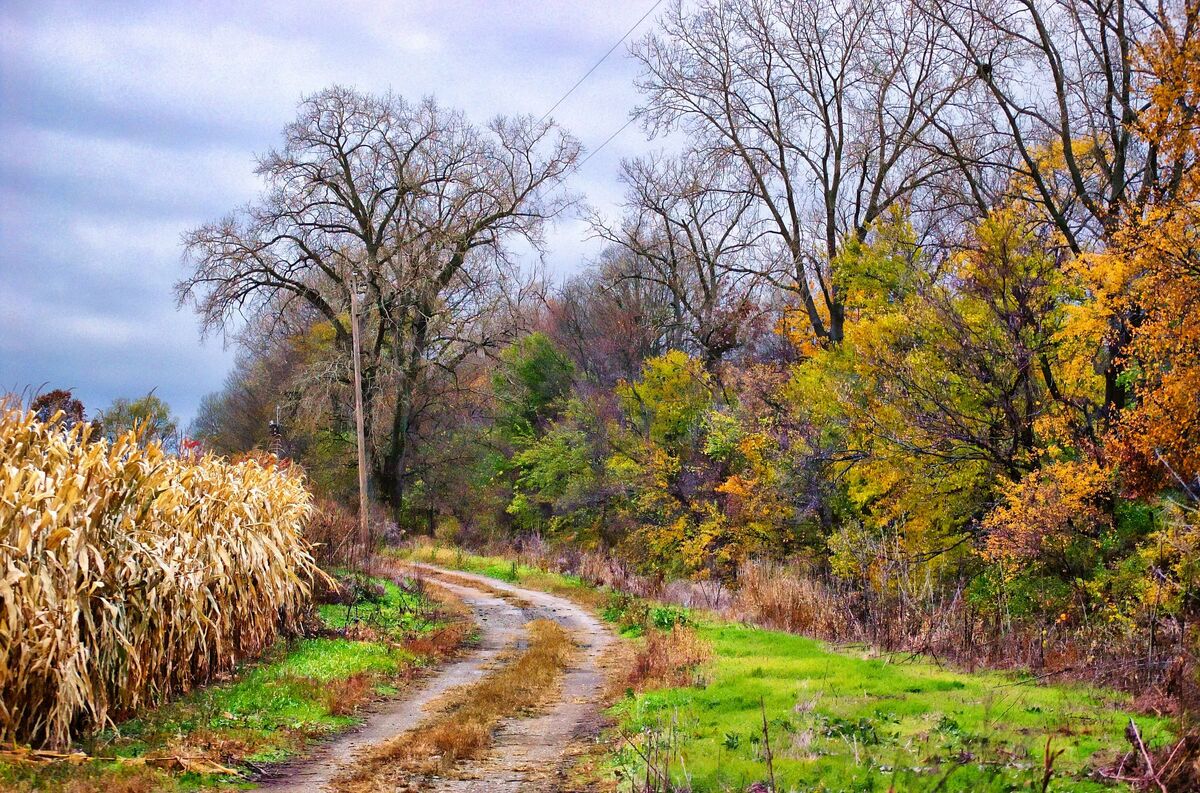 The Track: I wonder where it leads - and what's awaiting back there 🤔🤔🤔🤔...
