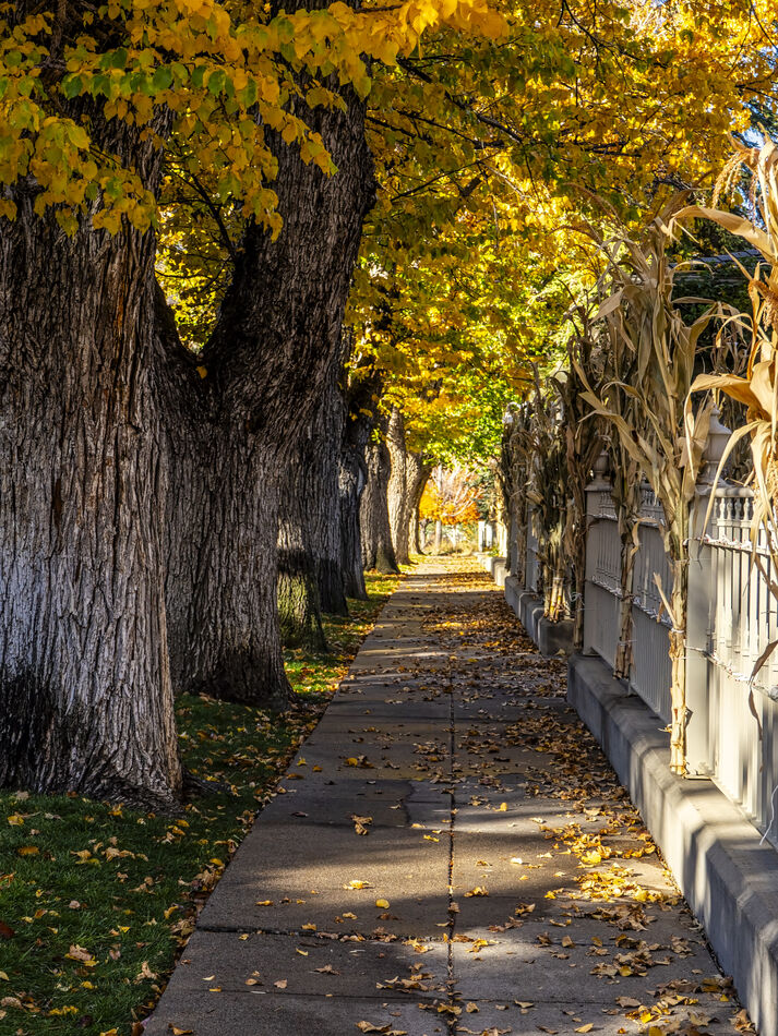 Northern Nevada Color: A few scenes from Carson City.