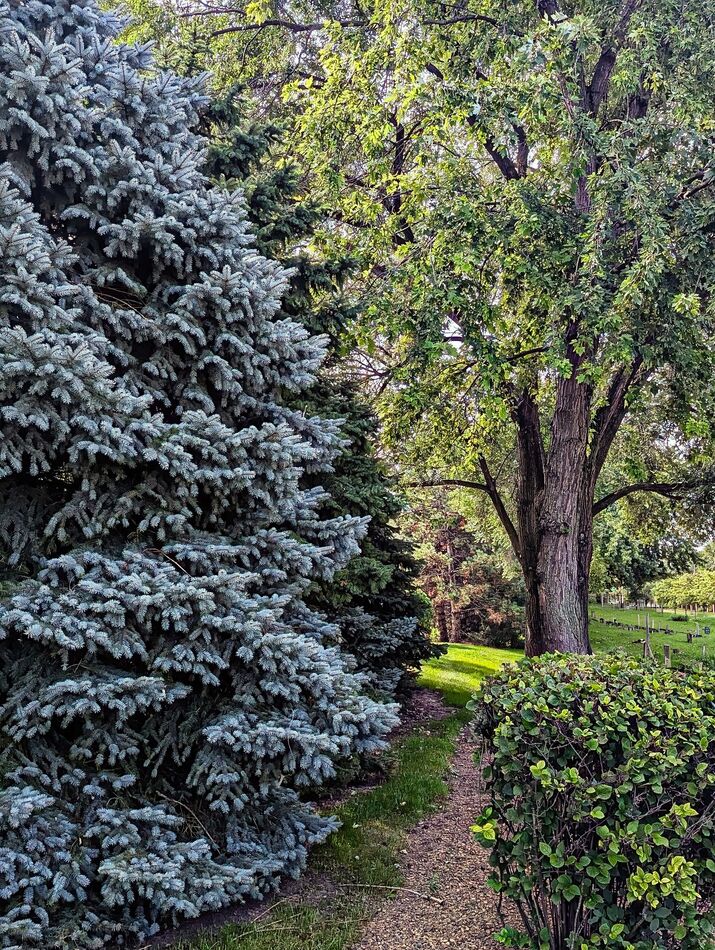 Which Path??? And where might it lead :sm07: :sm01: :sm01: :sm07:...