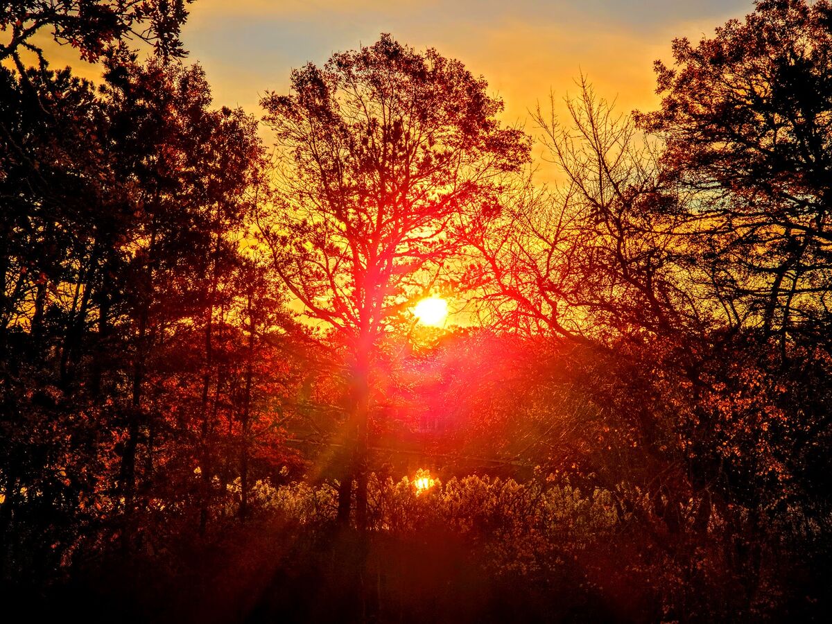 Sun: . Sun.