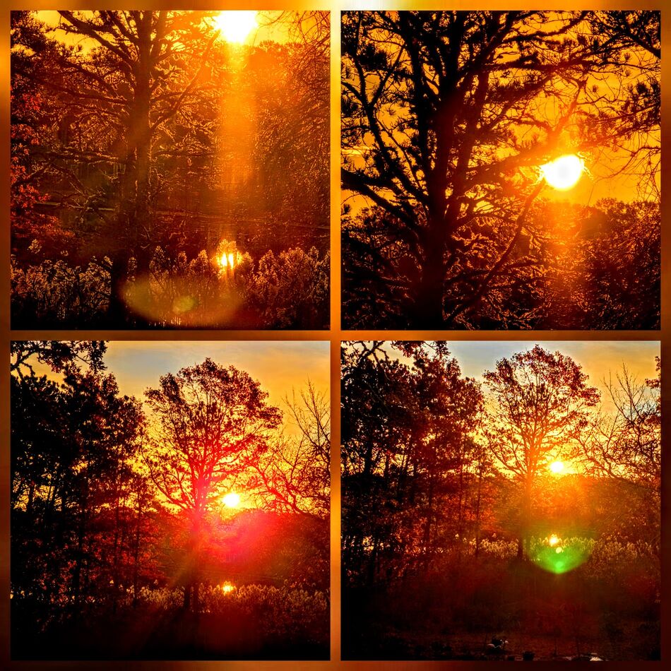 Sun: . Sun.