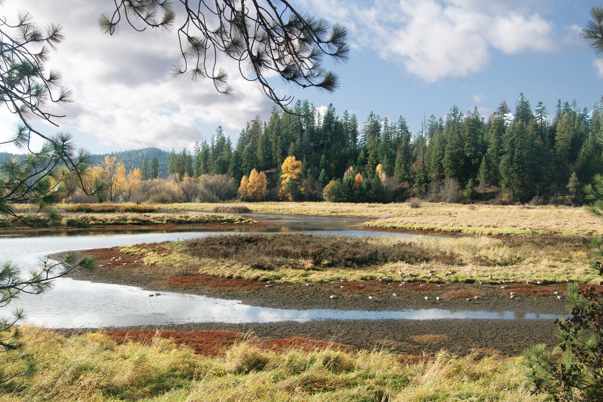 Squeezing the last colors out of fall: Another sunny day, good for some ...