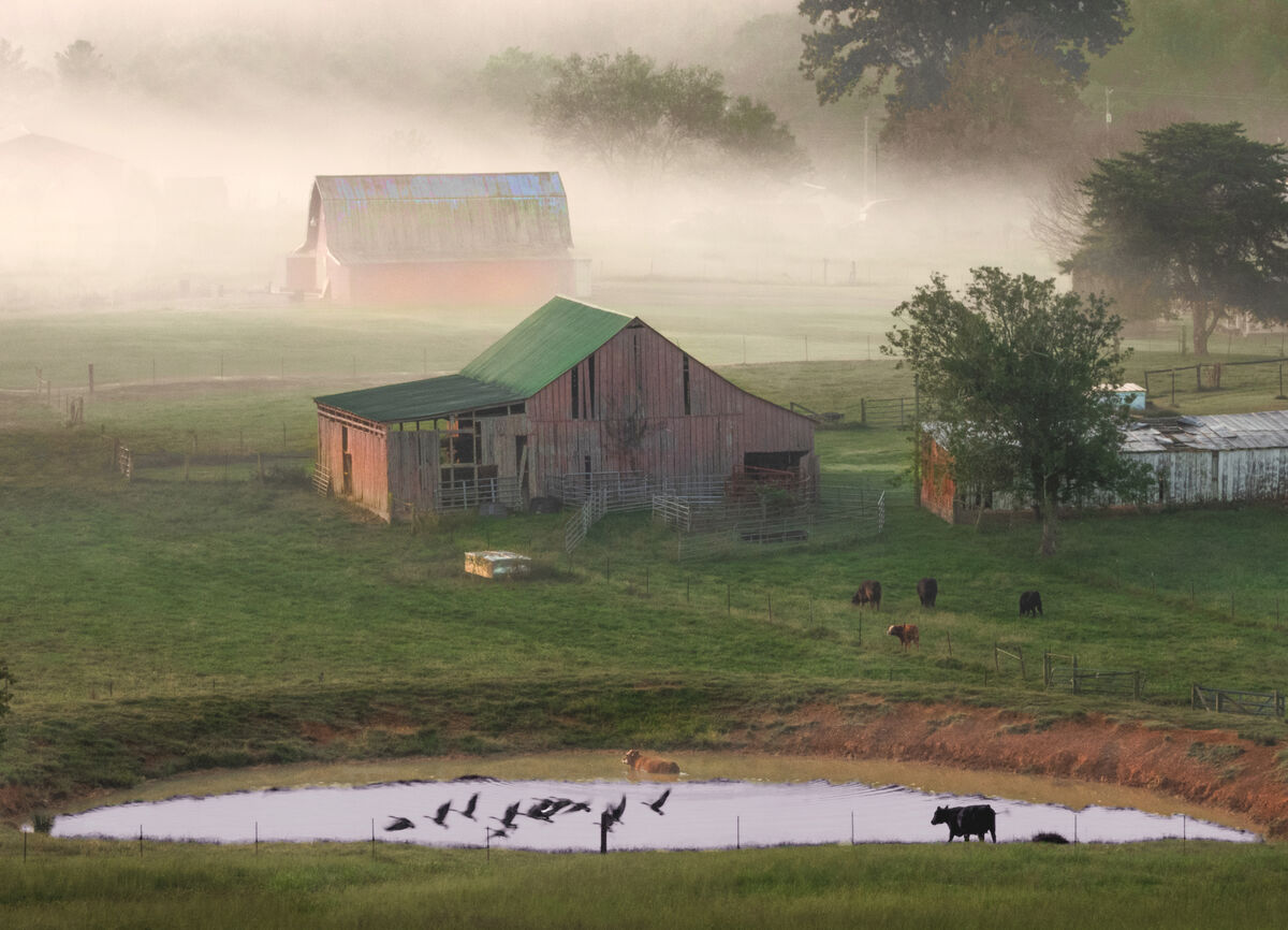 Old East Tennessee Working Farm (Page 3): Nice composition.