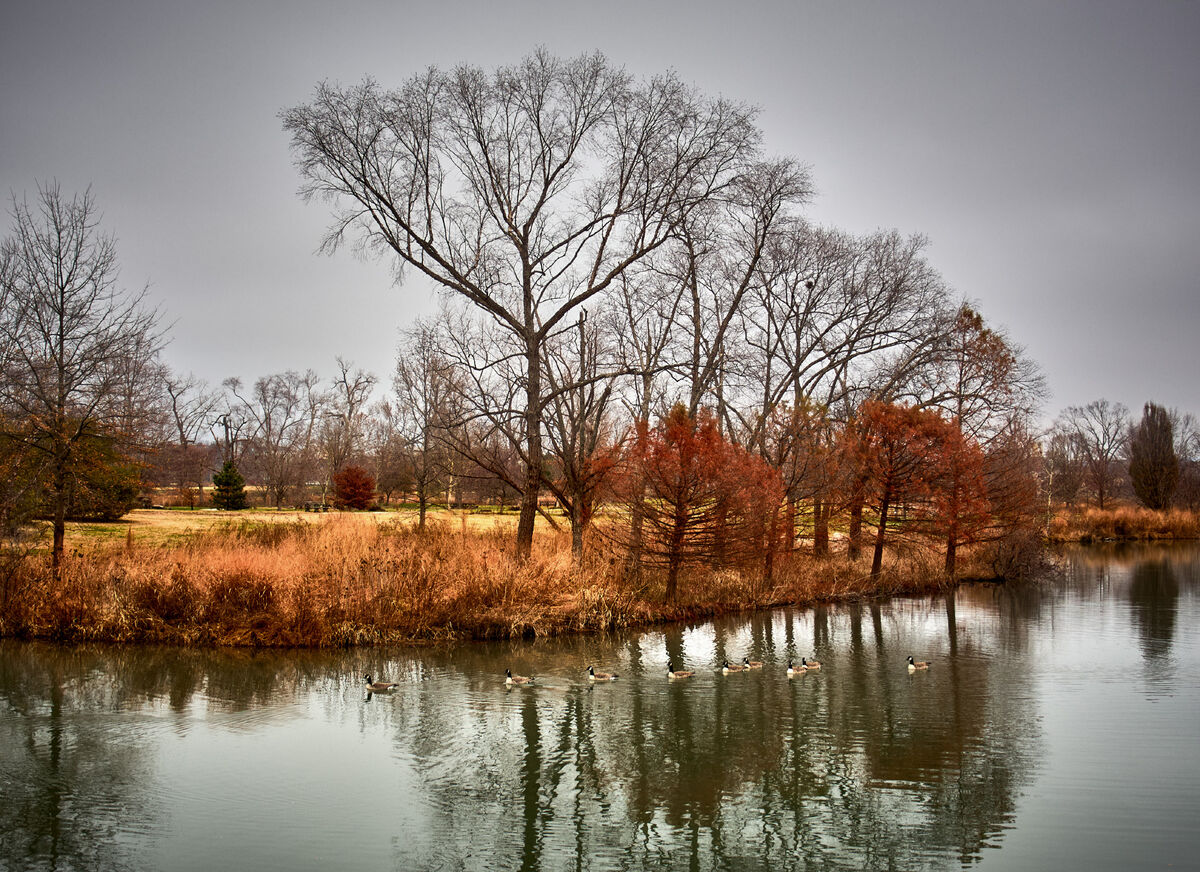 Taylor Kindle River -- Forest Park: When the 1300 acre St. Louis Forest ...