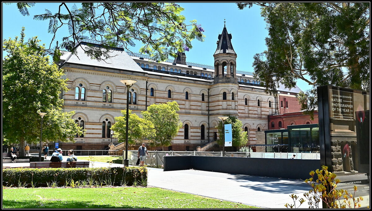 Mortlock Library Pt. 2: Some more pics from Tuesday. Including some ...