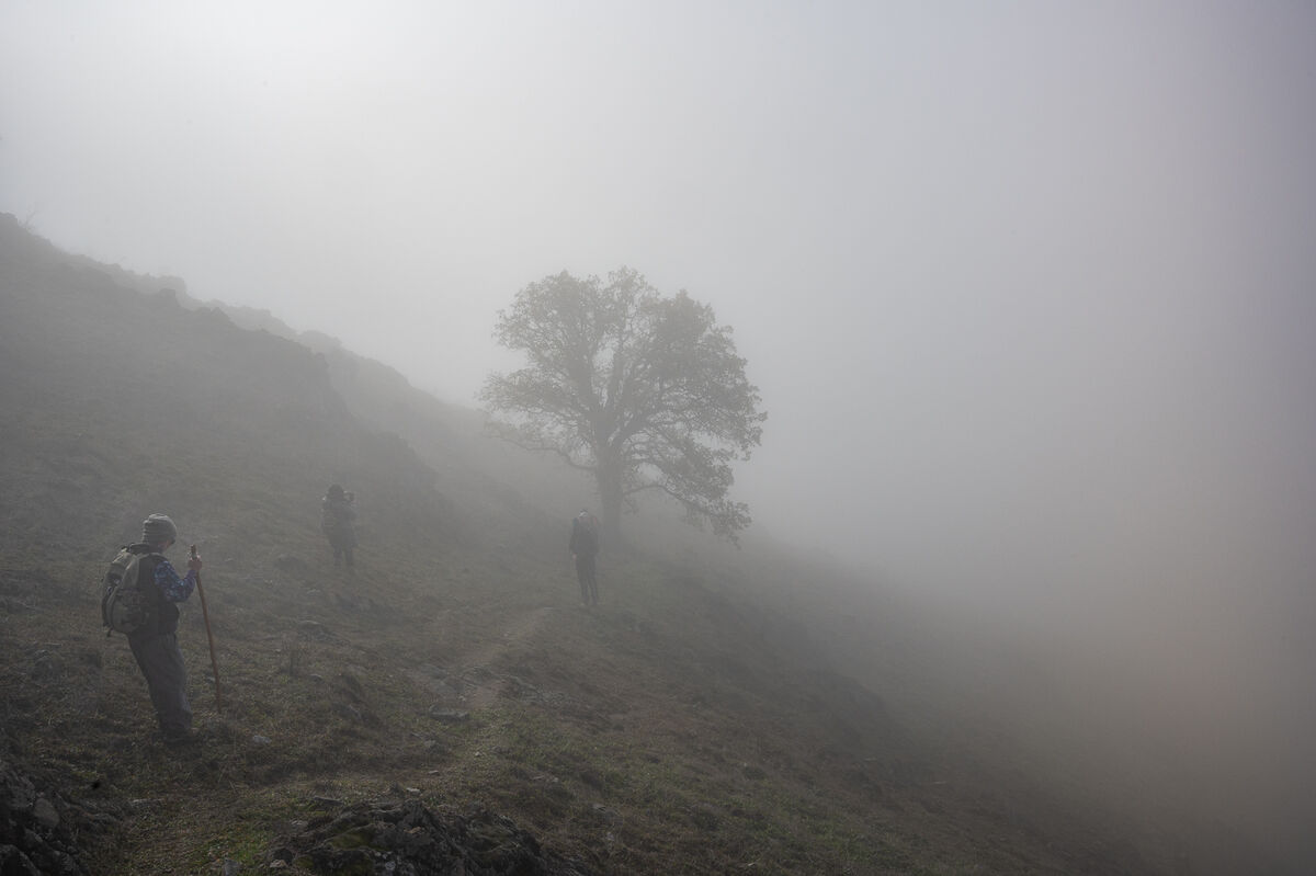 A rare opportunity to hike and photograph the Sutter Buttes: A group of ...